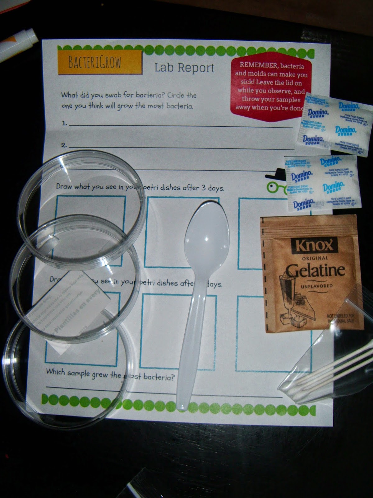 The ABCD Diaries: Agent Ribbit: Engaging Science Subscription Box for ...